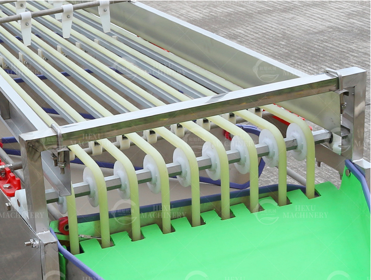 Belt Type Sorting Grading Machine