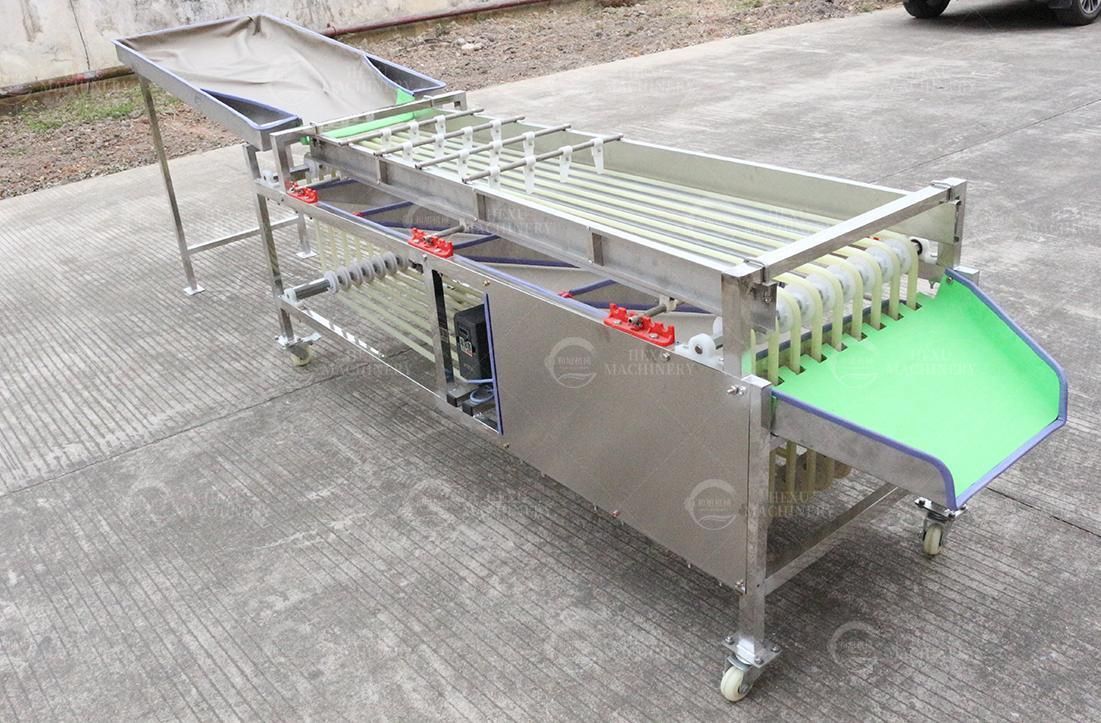 Belt Type Sorting Grading Machine