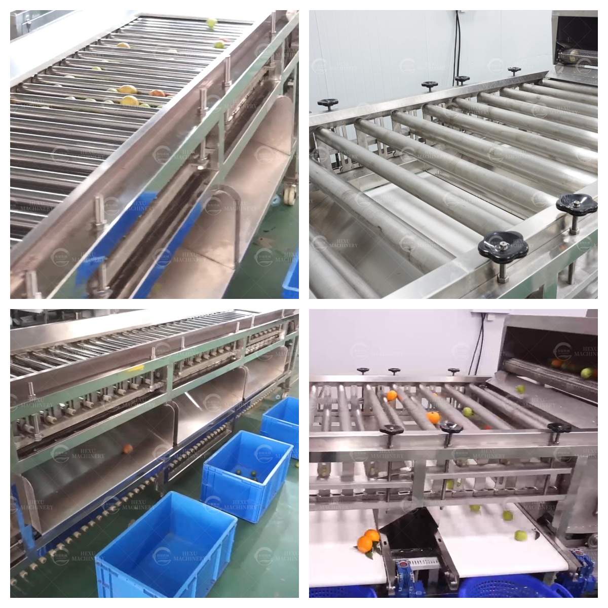 Roller Type Sorting Grading Machine